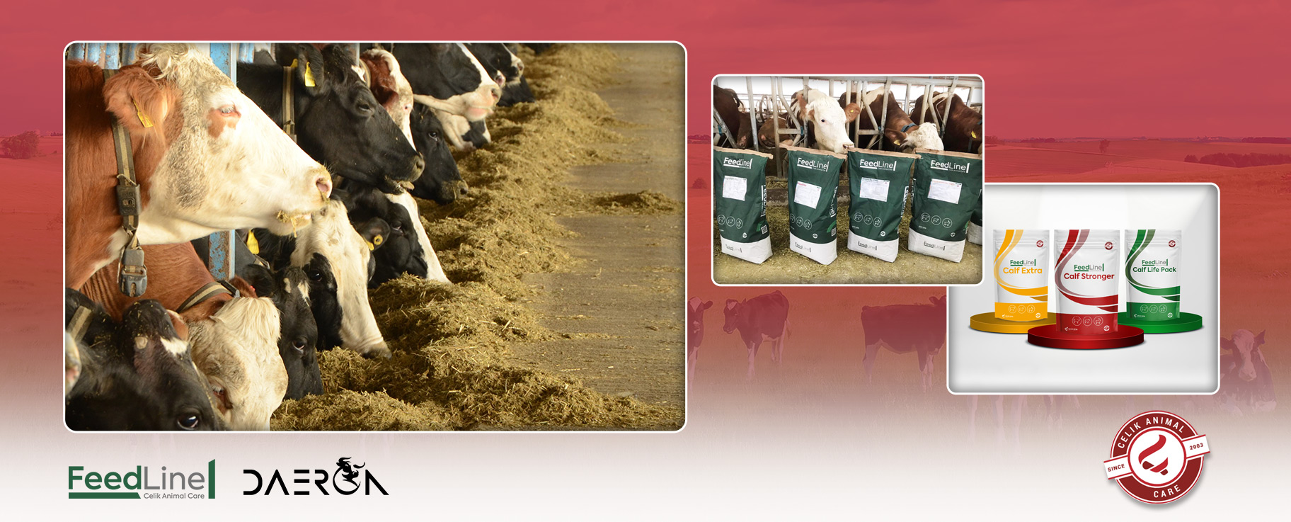 Feed Additives | Çelik Çesa Group
